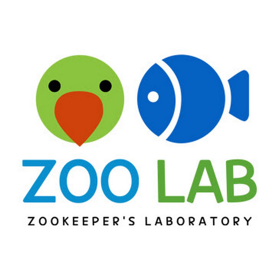 ZOO LAB-다양한 동물들과 함께하는 즐거움 - YouTube