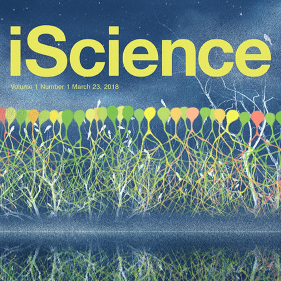 iSCIENCE - YouTube