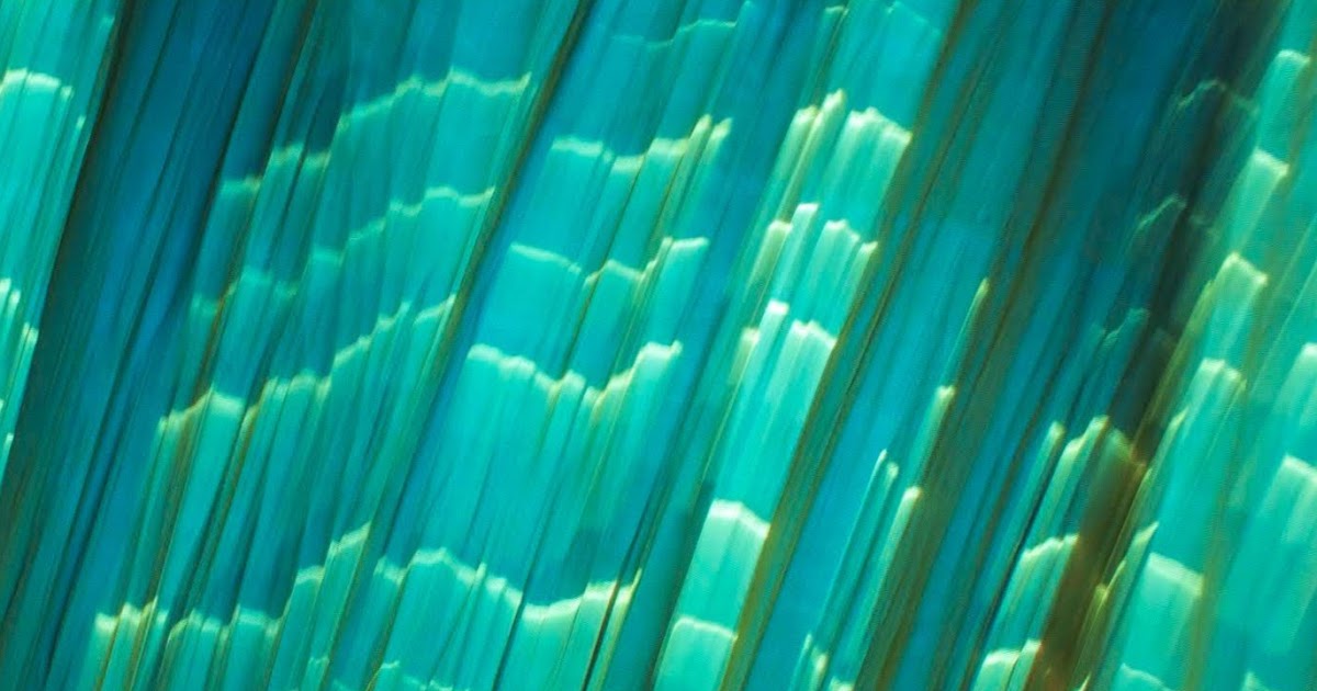 Brandon Moreno Height - Deiveson Figueiredo gives Brandon Moreno the ...