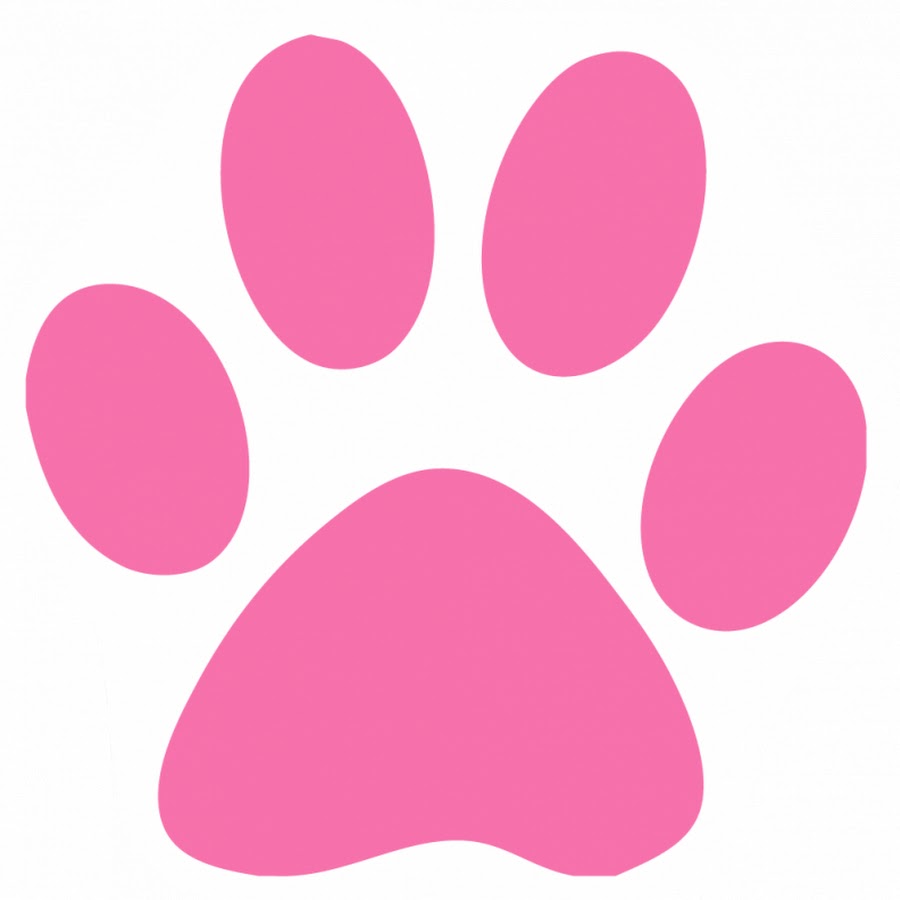 Pink Paw Studio - YouTube