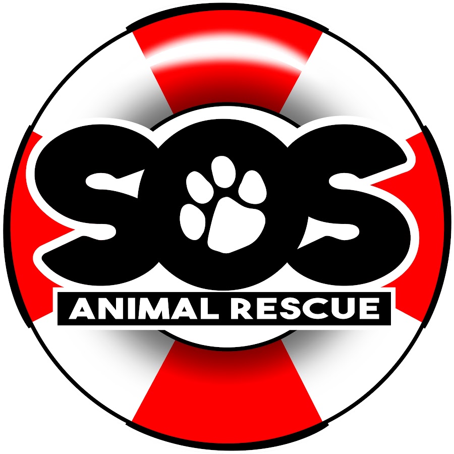 SOS Animal Rescue - YouTube