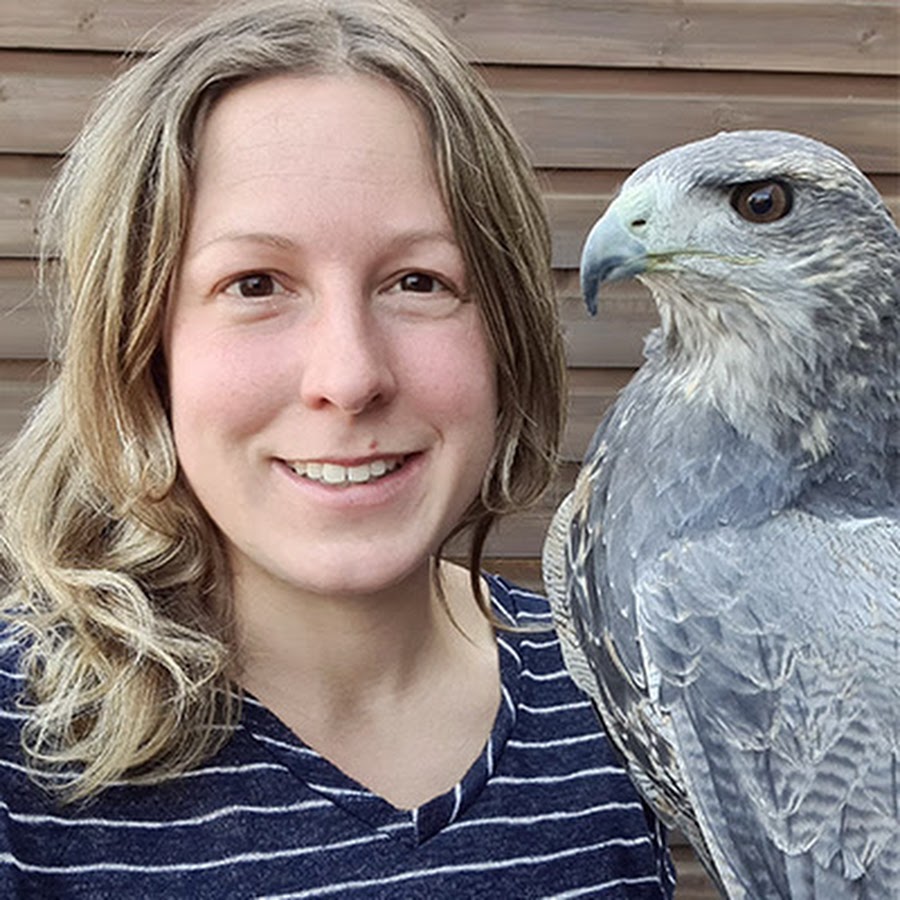 Falconry And Me - YouTube