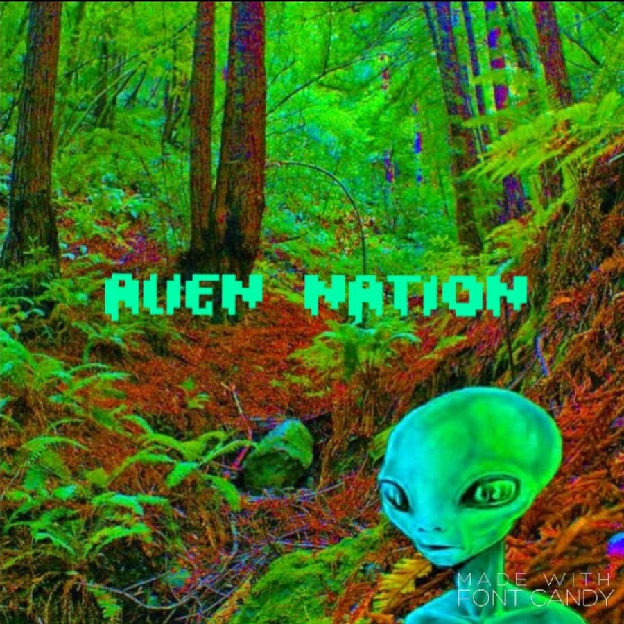 Alien Rainforest - YouTube