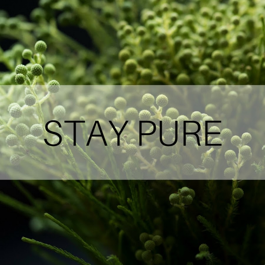 STAY PURE - YouTube