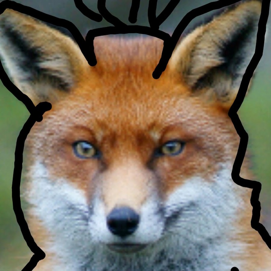 Fox Fan