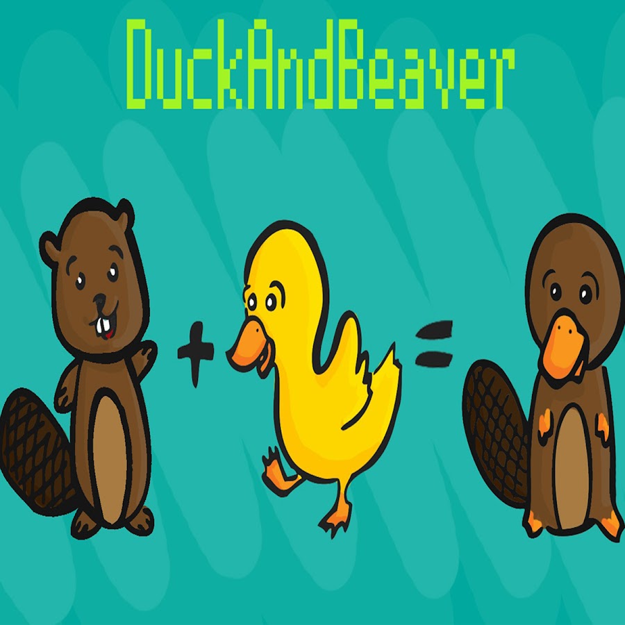 DuckAndBeaver - YouTube