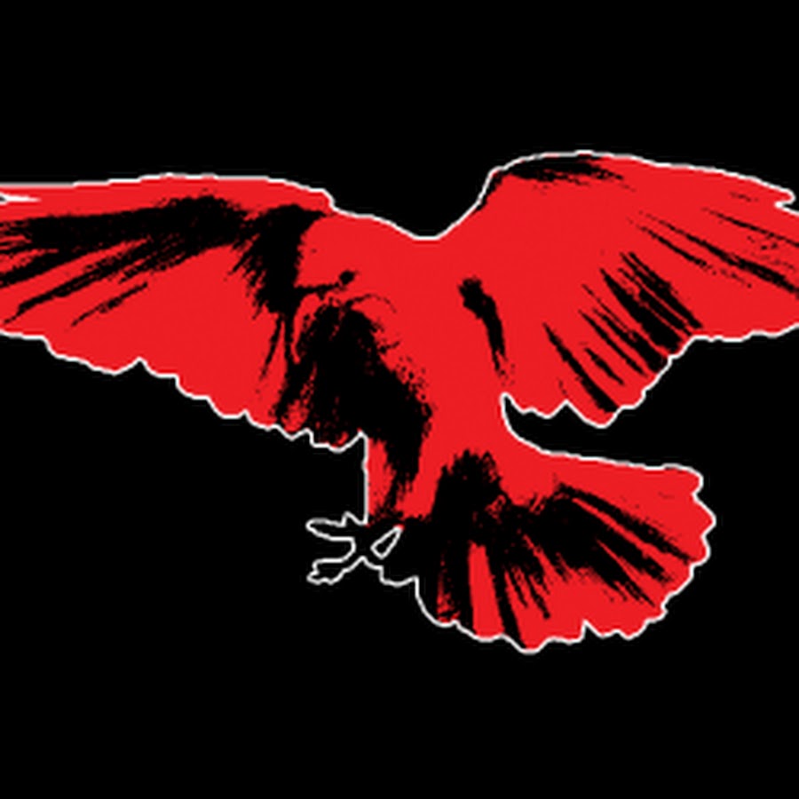 RED RAVEN - YouTube