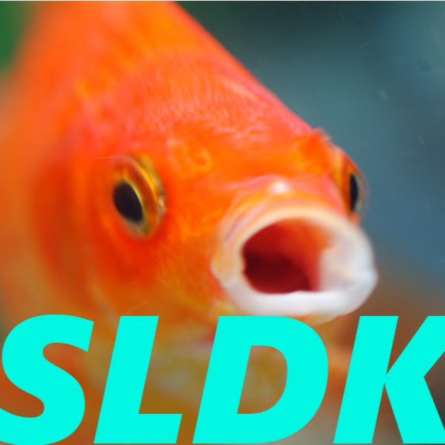 SLDK - YouTube