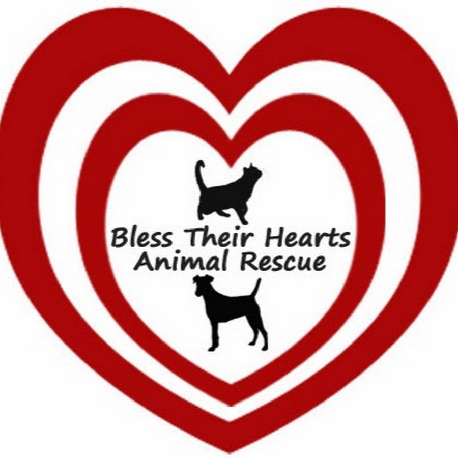 Bless Their Hearts Animal Rescue - YouTube