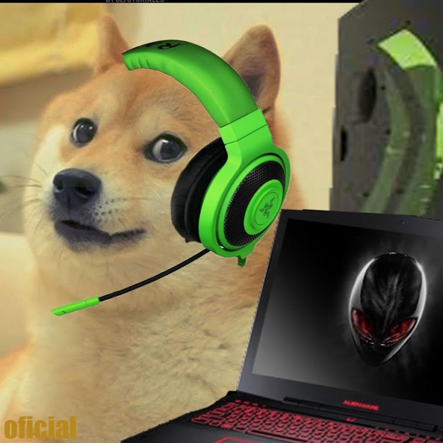 Gaming_Doge99 - YouTube