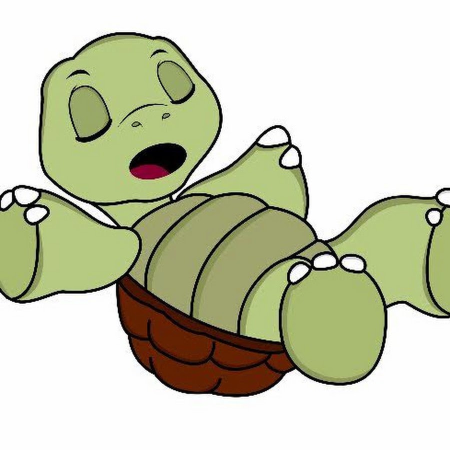 Lazy Turtle - YouTube