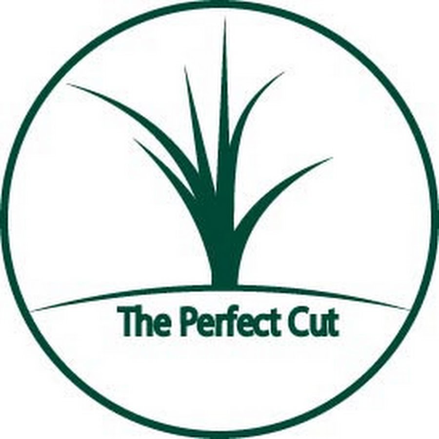 The Perfect Cut - YouTube