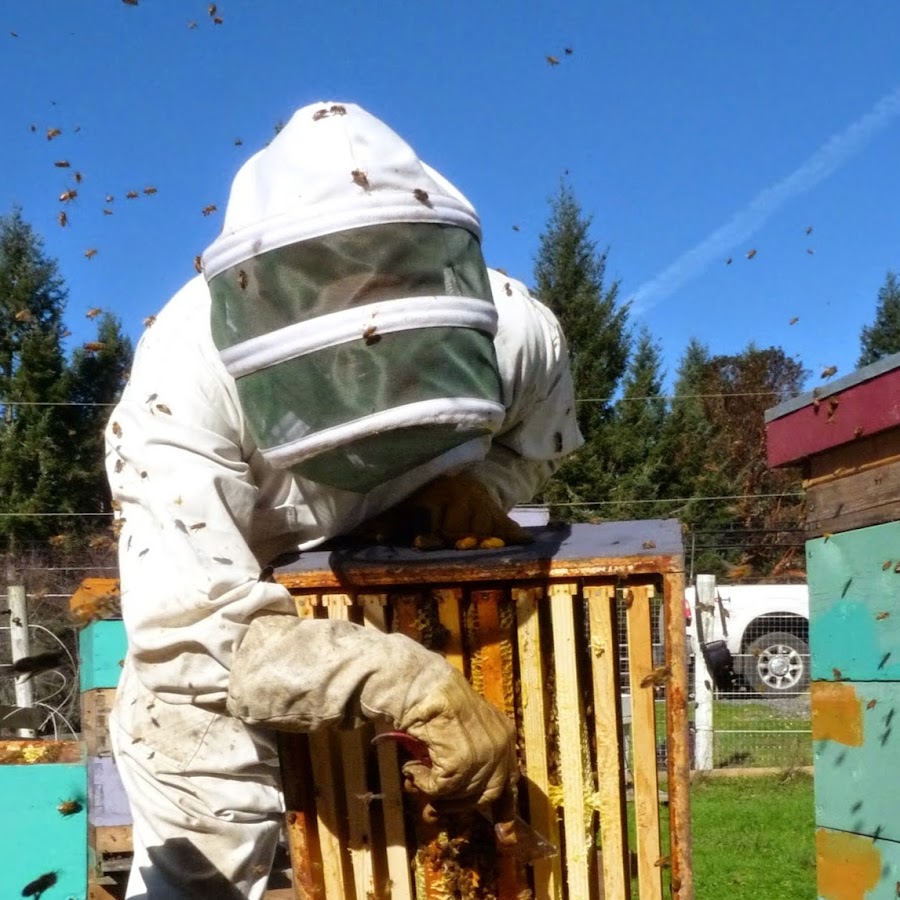Bee Keeper - YouTube