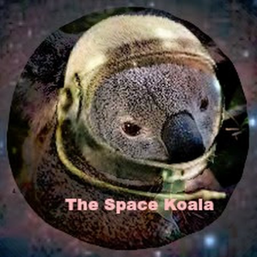 The Space Koala - YouTube