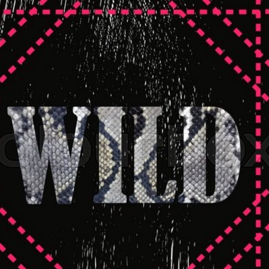 Wild Pink - YouTube