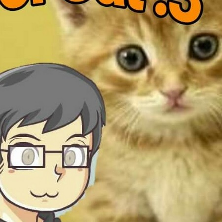 troll cat:3 - YouTube