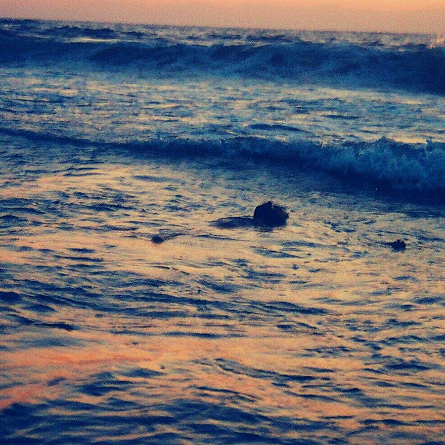 עטר מיינר - ATAR MAYNER - YouTube