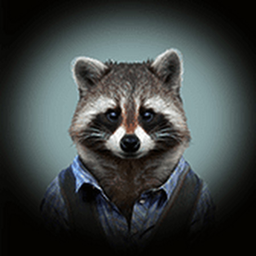 Randy Raccoon - YouTube