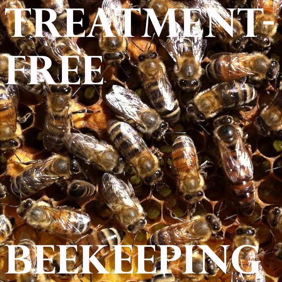Treatment-Free Beekeeping - YouTube