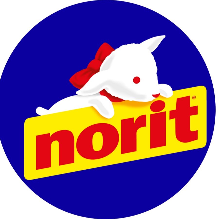 NORIT - YouTube