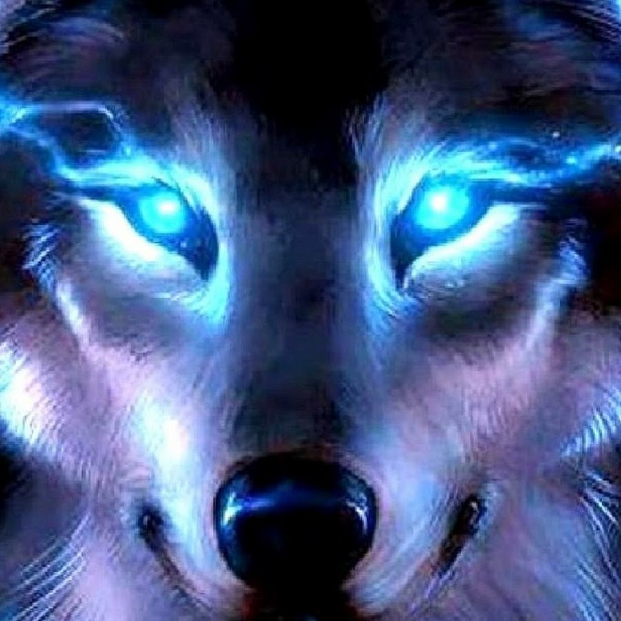 blu_wolf 123 - YouTube