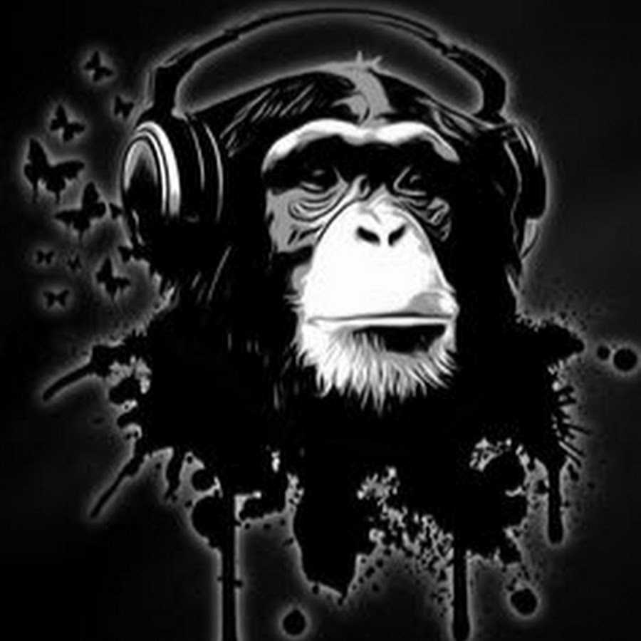 Music Monkey - YouTube