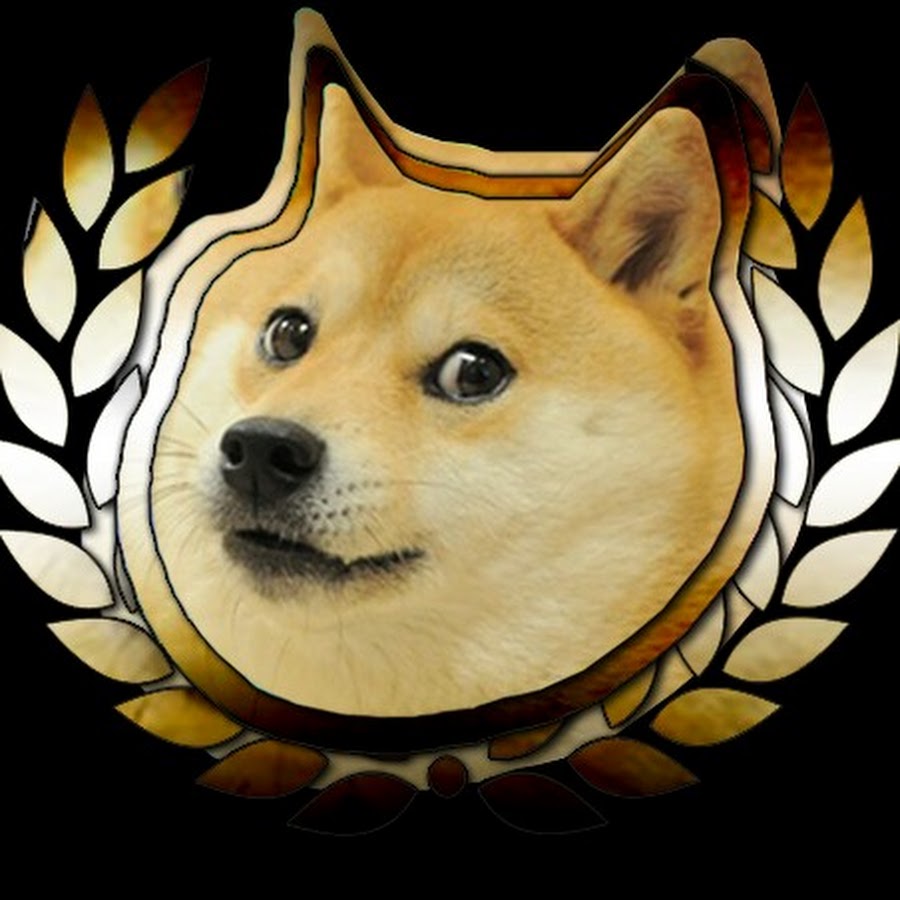 Doge Channel - YouTube