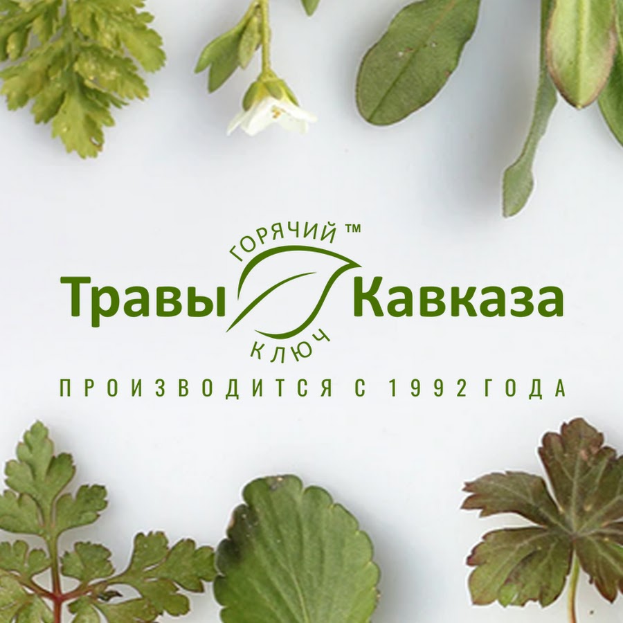 Травы Кавказа Горячий Ключ - YouTube