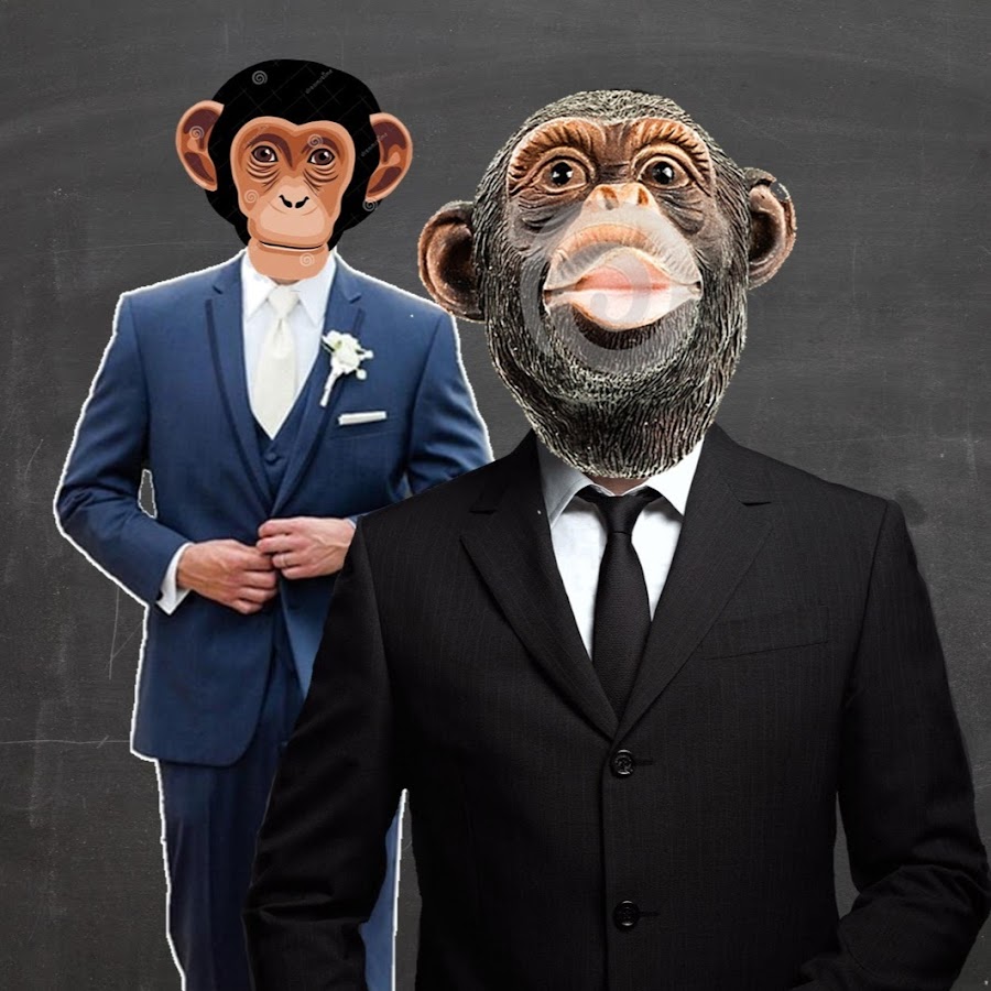 Two Monkeys 2.0 - YouTube