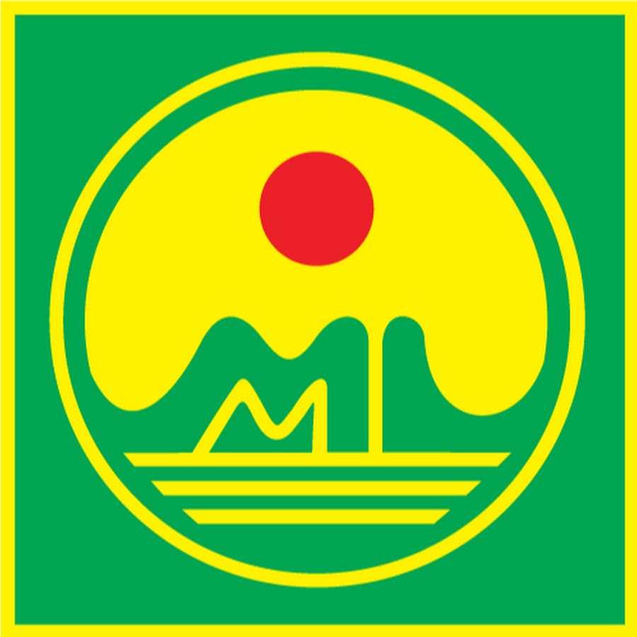 Mai Linh Corporation - YouTube