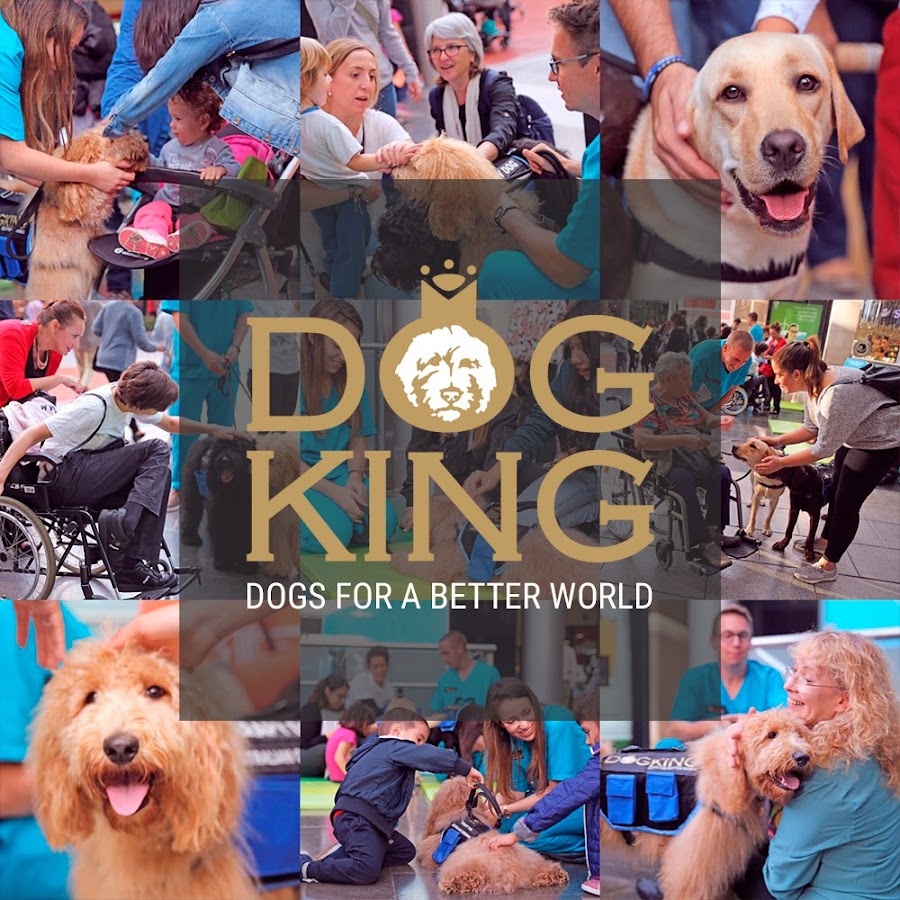 DOGKING - YouTube