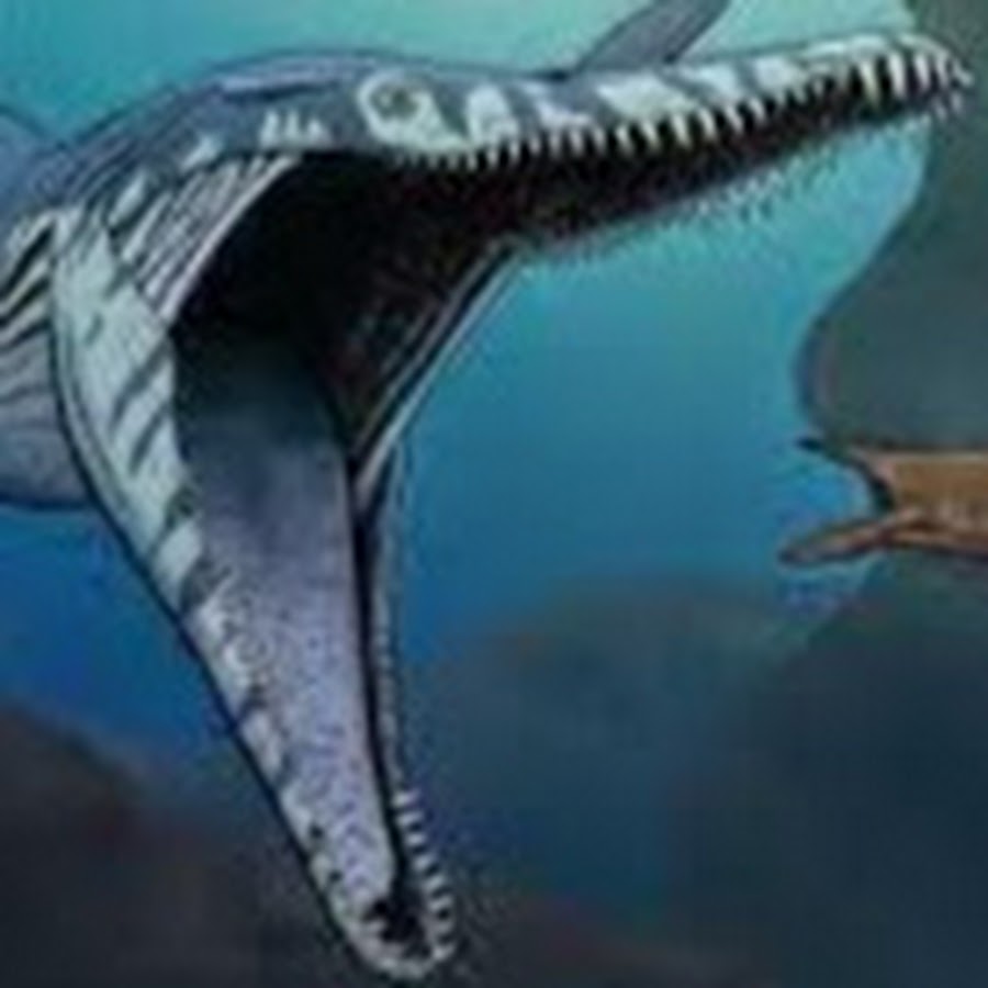 Pliosaurus Presentation - YouTube