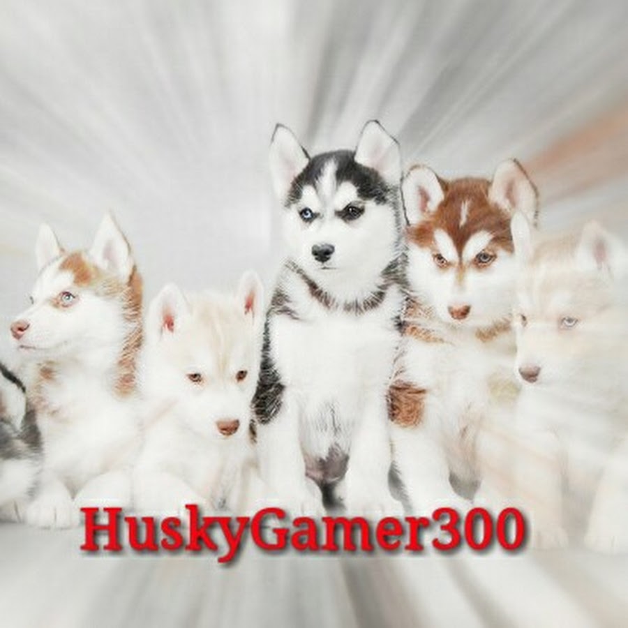 Husky Gamer 300 - YouTube