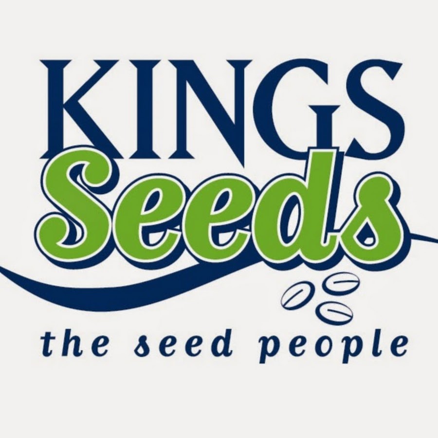 Kings Seeds - YouTube