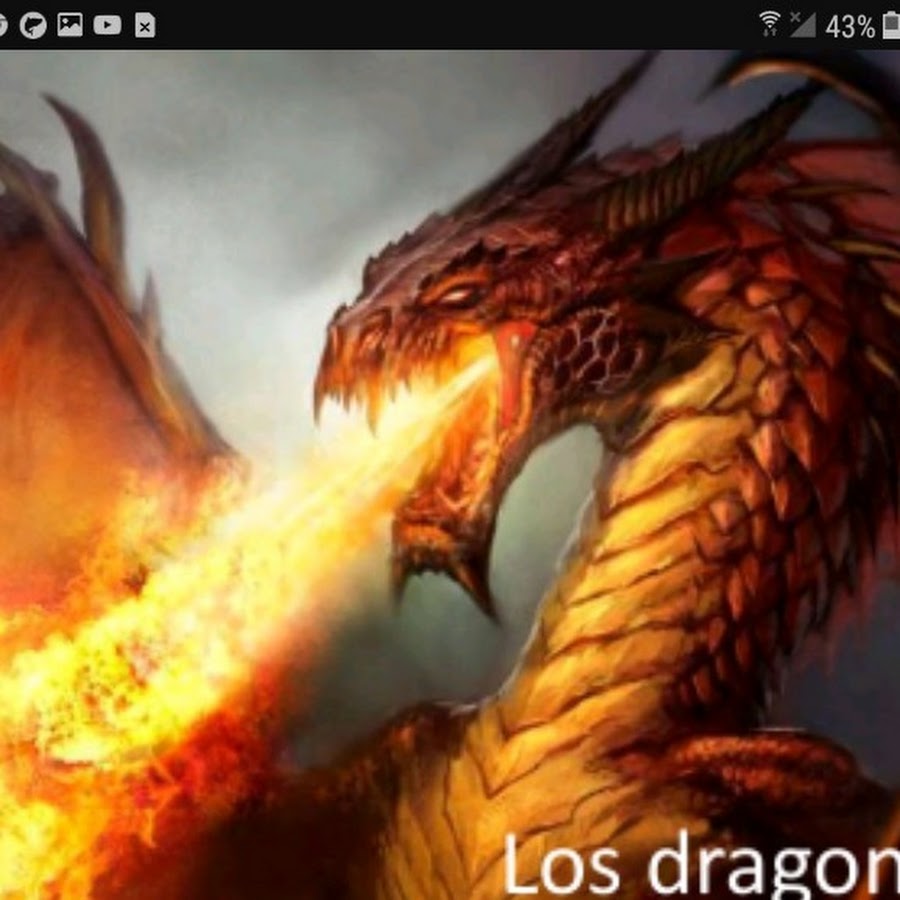 dragon kill - YouTube