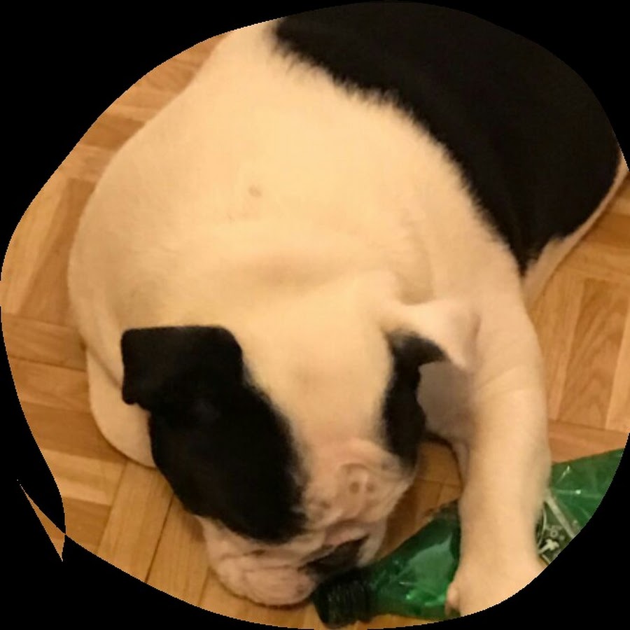 Dylan Malla - YouTube