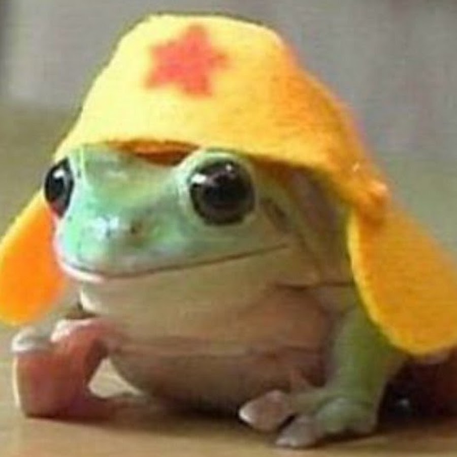 Soviet frog - YouTube