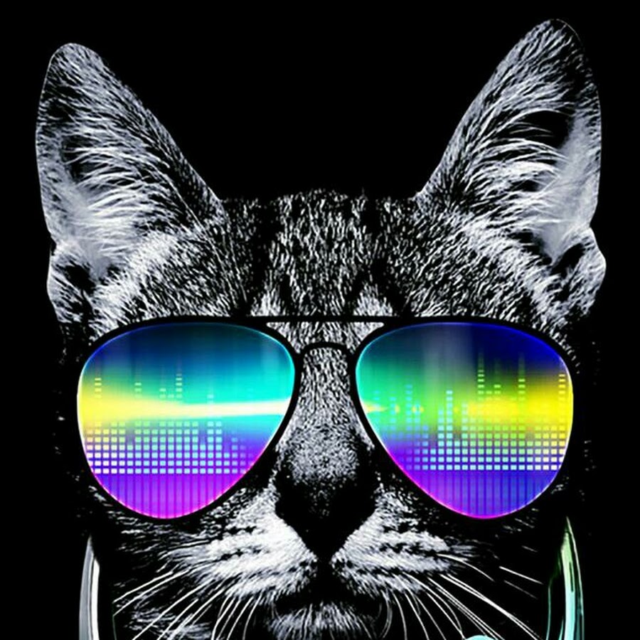 Darix Darix - YouTube