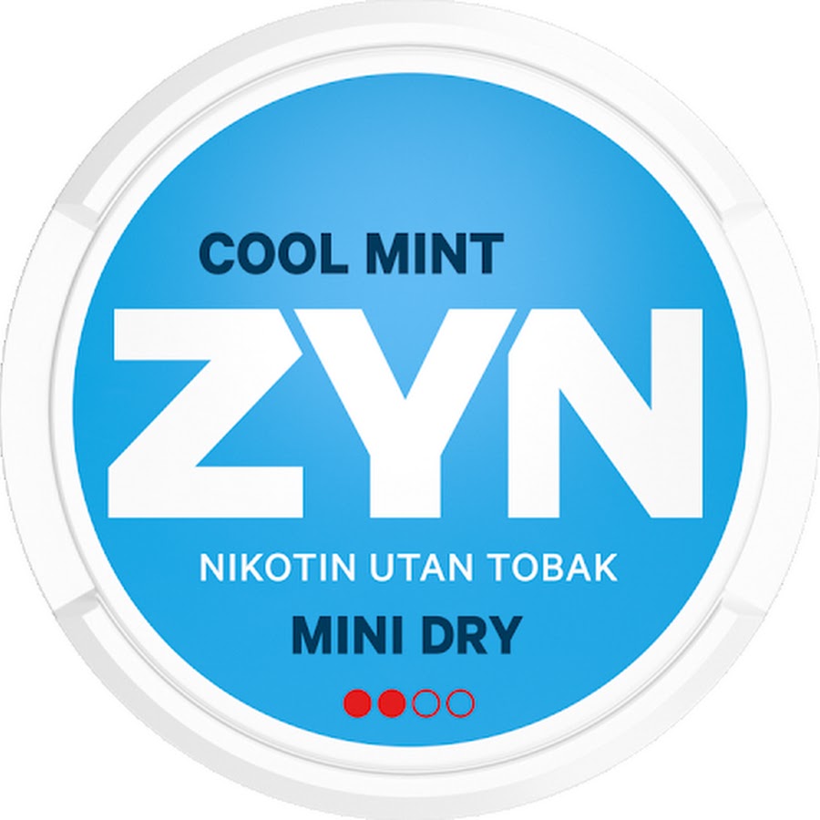 ZYN Europe - YouTube
