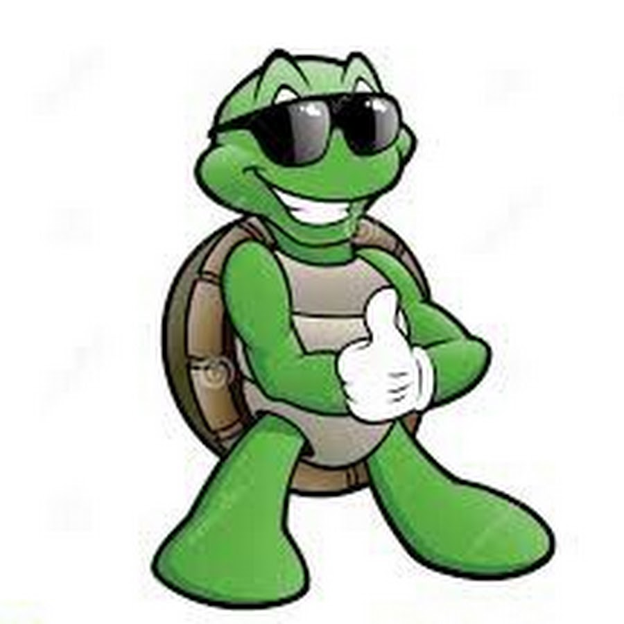 Gaming Turtle - YouTube