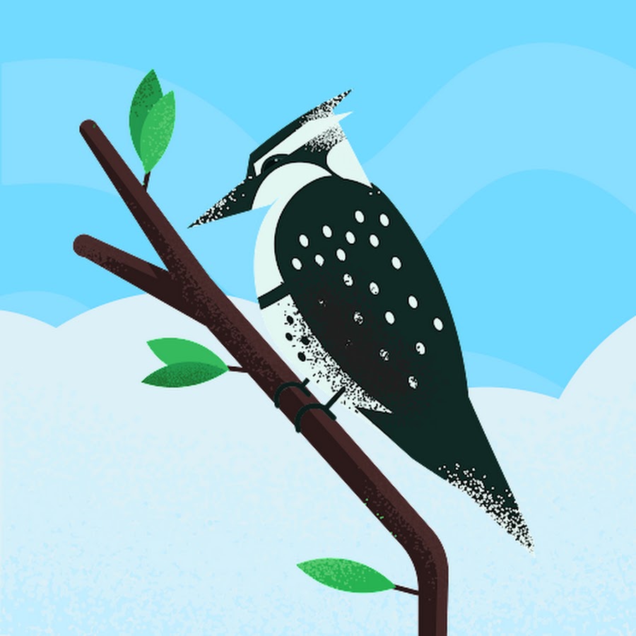 The Patman - YouTube