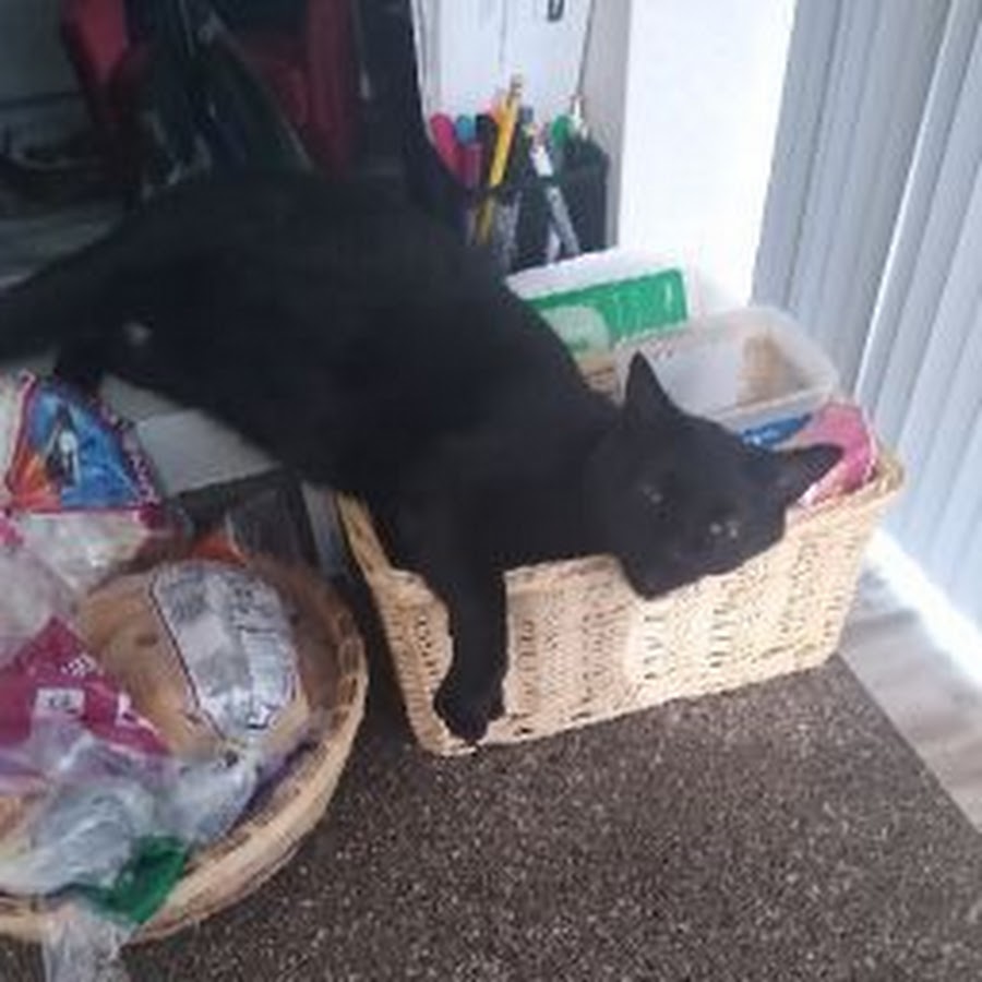 official r1se - YouTube