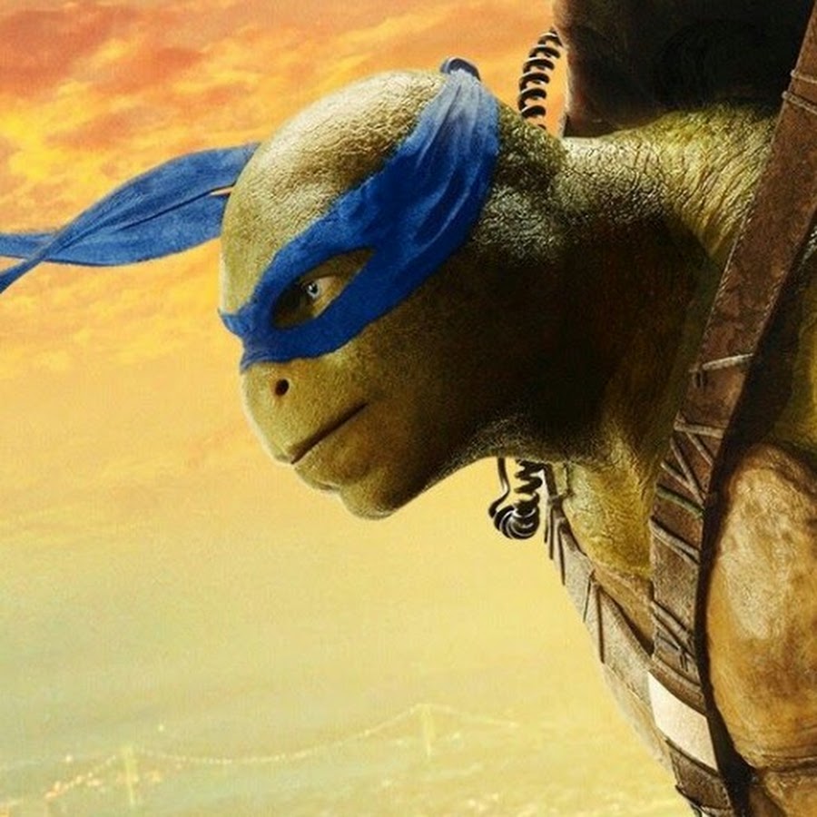 Turtle master 123 - YouTube