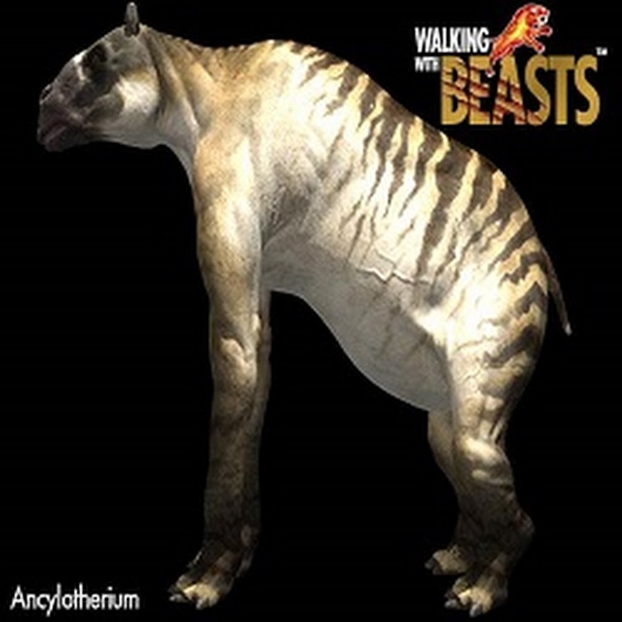 Walking with Beasts Season 1 - YouTube