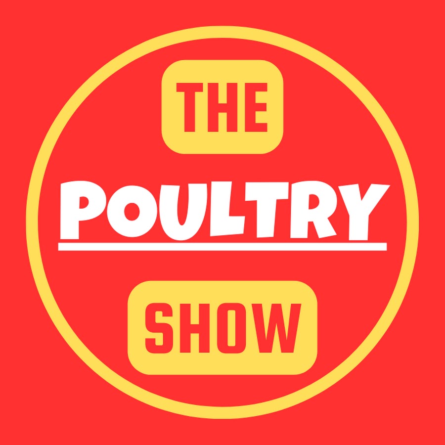 Sabung Ayam - YouTube