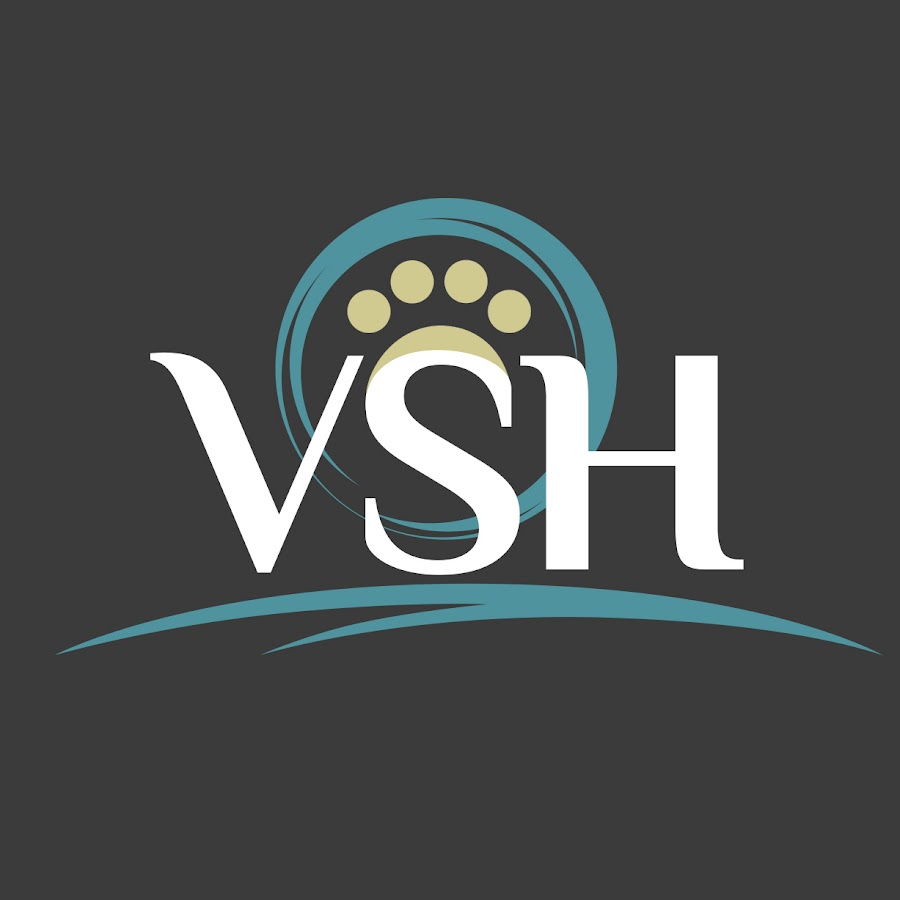 VSH Hong Kong - YouTube
