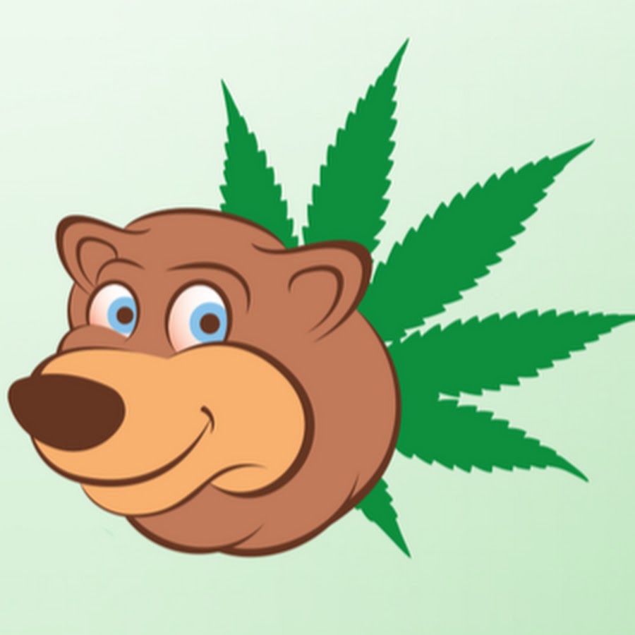 Big Bear Cannabis (Strain reviews and Cannabis news) - YouTube
