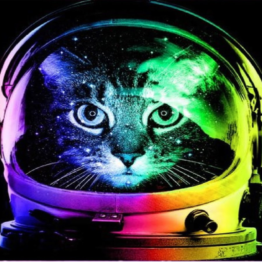 AstroCat - YouTube