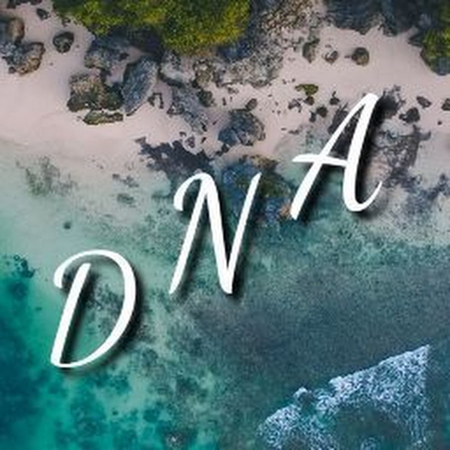 DNA Lyrics - YouTube
