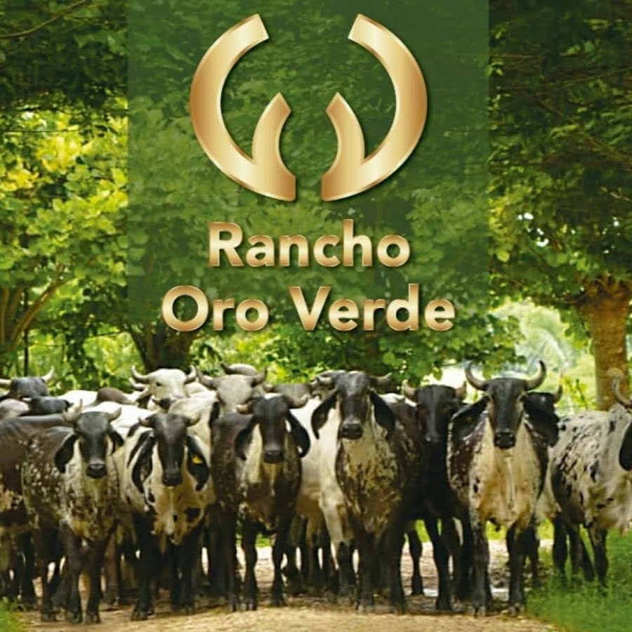 RANCHO ORO VERDE - YouTube